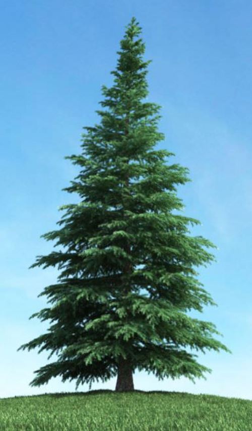 Parts needed to Reinstall the Headliner in an Aston Martin DB9 – Aston 1936